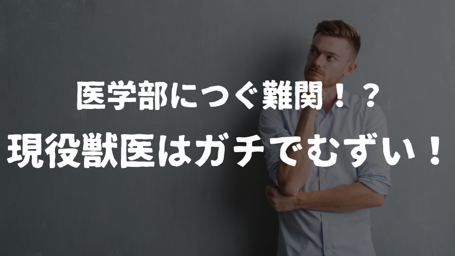 獣医の年収は約650万円令和4年！職種別に平均年収も解説 獣医専門オンライン予備校ベレクト