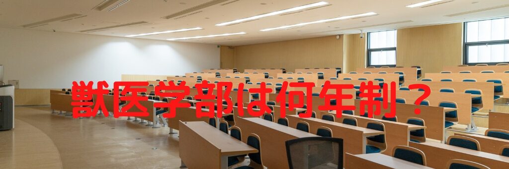 獣医学部は6年制！獣医師になるまでの道のりを解説 獣医専門オンライン予備校ベレクト