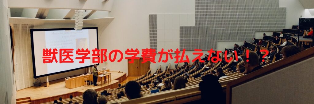 獣医学部志望者必見！受験難易度を具体的に解説します 獣医専門オンライン予備校ベレクト