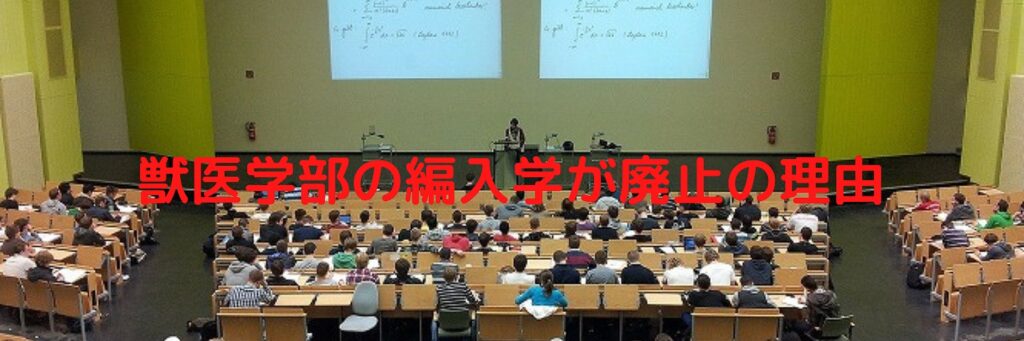 【最新】獣医の年収は約646万円令和4年!職種別に平均年収も解説 獣医専門オンライン予備校ベレクト