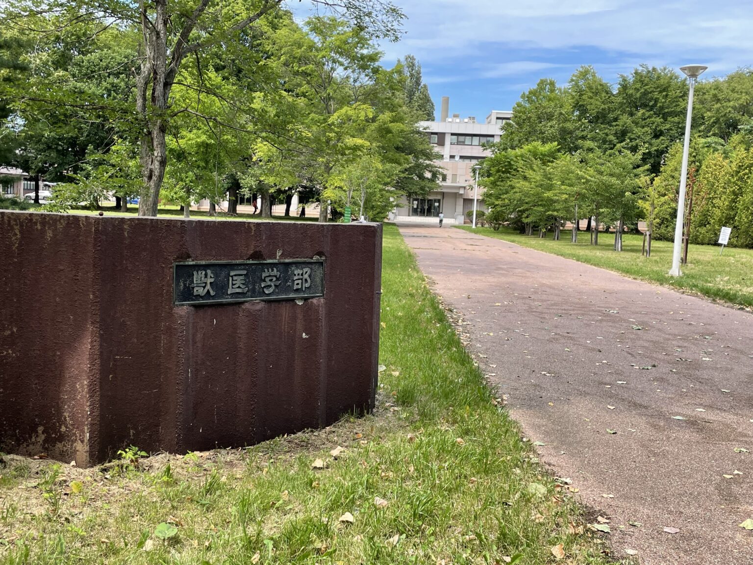 【2025年】獣医大学・獣医学部 偏差値ランキング 獣医専門オンライン予備校ベレクト