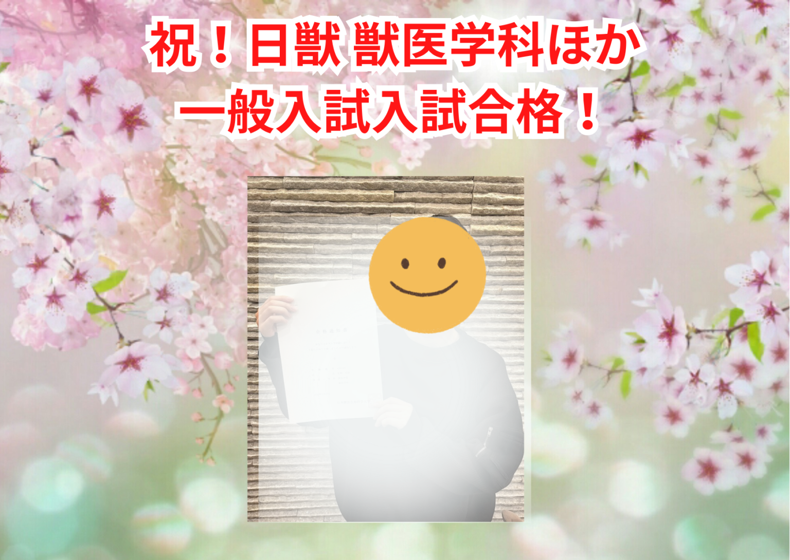 【現役獣医学生に聞いた】北里大学獣医学部獣医学科の良い点・選んだ理由・おすすめポイント 獣医専門オンライン予備校ベレクト
